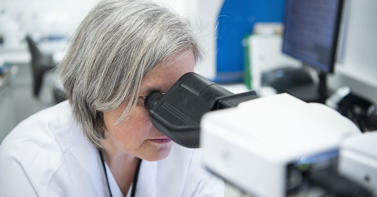 Gevinst- og endringsarbeid - Sykehuspartner HF